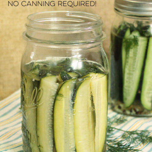 Canned Dill Pickle Spears Recipe