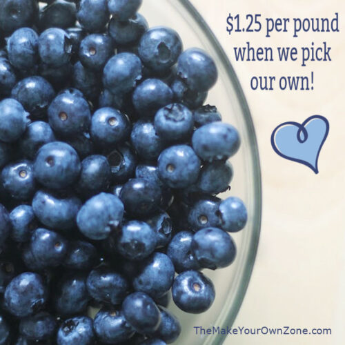 How We're Using Our Fresh Blueberries - The Make Your Own Zone